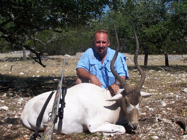 Addax | FORISTER EXOTICS