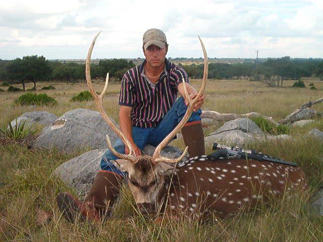 EXOTICS | FORISTER EXOTICS