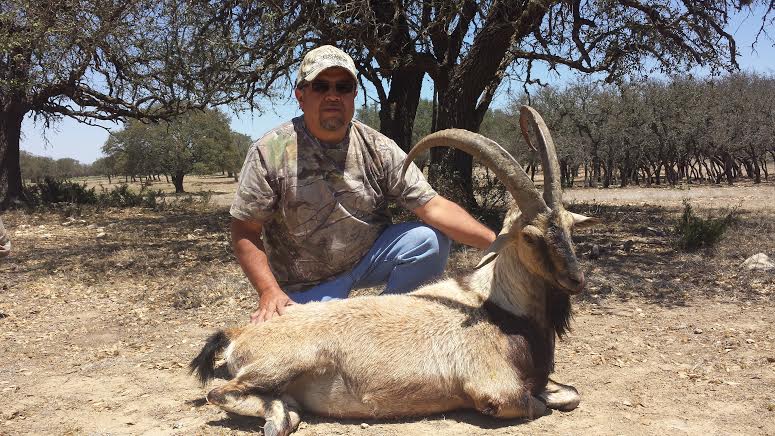 Texas Ibex | FORISTER EXOTICS
