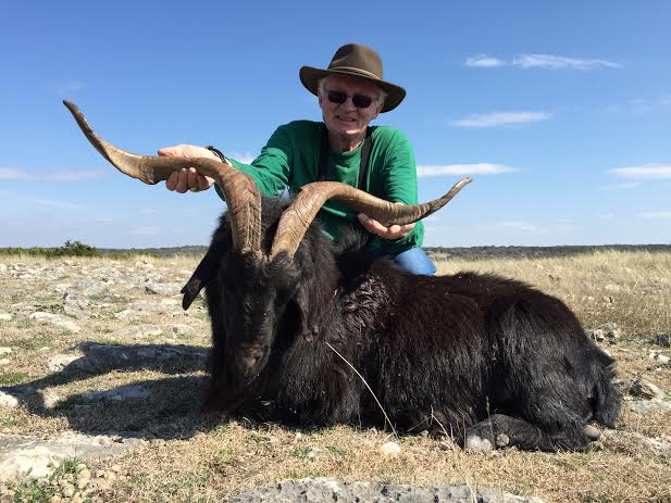 Catalina Goat | FORISTER EXOTICS