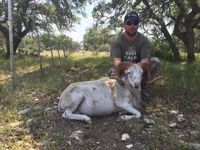 FORISTER EXOTICS | The best hunting on the Edwards Plateau!