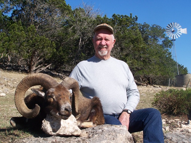 Mouflon | FORISTER EXOTICS