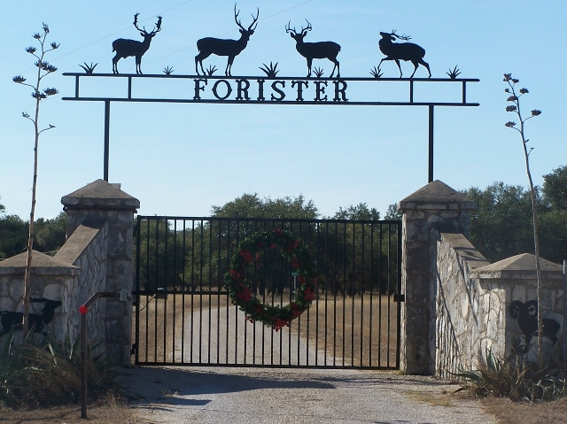 The Ranches | FORISTER EXOTICS