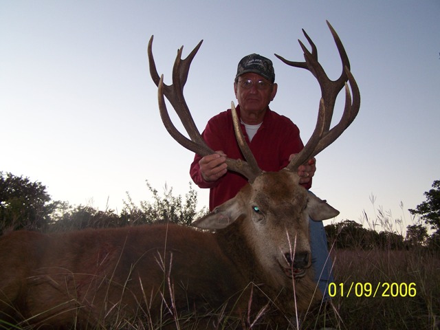 European Red Stag | FORISTER EXOTICS