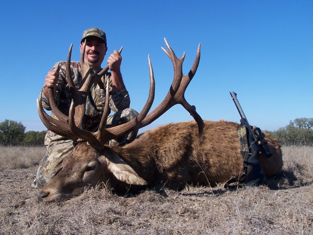 European Red Stag | FORISTER EXOTICS