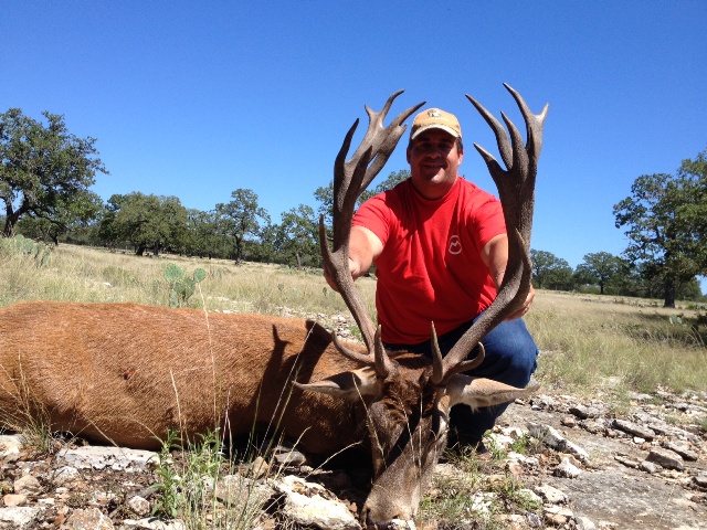 European Red Stag | FORISTER EXOTICS