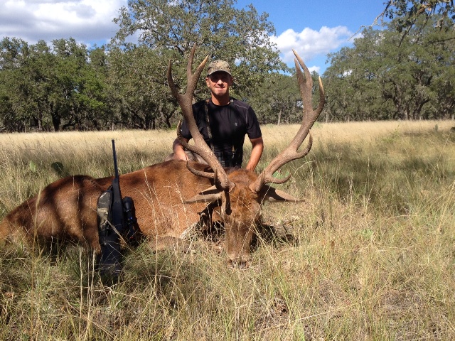 European Red Stag | FORISTER EXOTICS