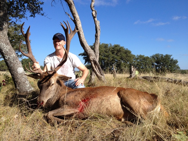 European Red Stag | FORISTER EXOTICS