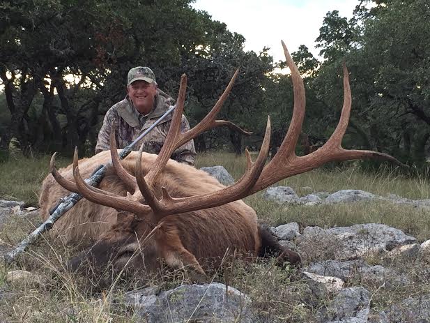 Elk | FORISTER EXOTICS