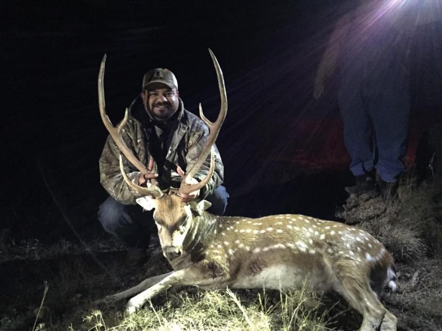 EXOTICS | FORISTER EXOTICS