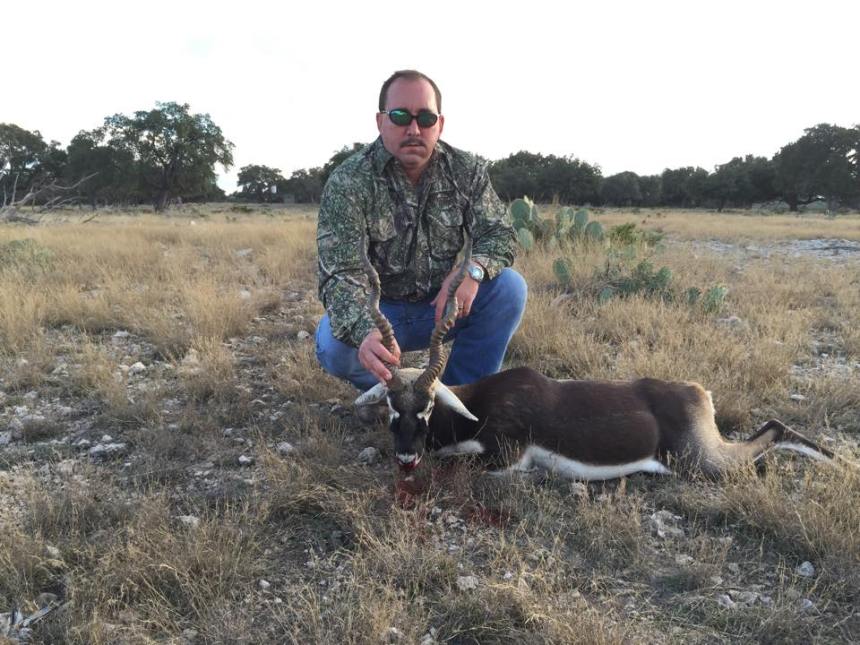 EXOTICS | FORISTER EXOTICS