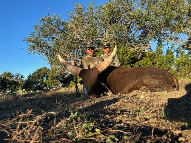 FORISTER EXOTICS | The best hunting on the Edwards Plateau!